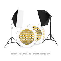 China Professional Customized COB 300w 500w 700w Cob led Chip Five-color integrated COB lamp beads for sale