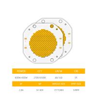 China Factory Price 75*75 60V 600W+600W Dual CCT LED COB Bi Color COB LED Chip High Power COB LED for sale