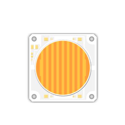 China 57V Cob Light Source 150W 200W Constant Voltage Warm White Two-Color Optional Wholesale Support for sale