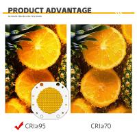 China Dual CCT COB LED Chip High Power 60V Bi-Color 600W+600W 3000lm 1W 2700K/6500K Color Temperature 95Ra 75*75 for sale