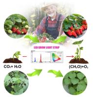 China 1W SMD 3030 Blue LED Grow Light Chip 440-470nm 300mA 3.0-3.4V for sale