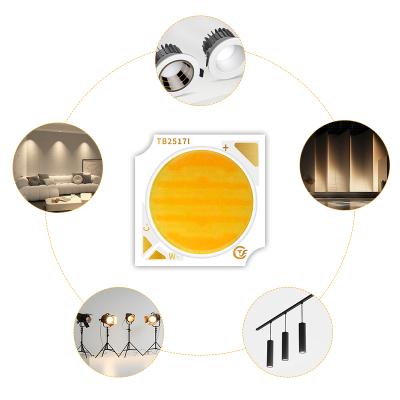 China Factory Customization High Power Photo Lamp Bi Color 18W 24W 25W 30W 1919 Cob Led Chip for sale