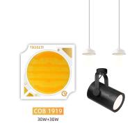 China New Product Bi-Color 1919 Chip White + Warm White 1919 Bi-color SMD LED 18w 24w 25w 30w for sale