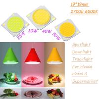China 50W 24V COB LED Chip 19x19mm Ra95 for Indoor Lighting for sale
