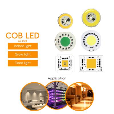 China 50W AC 220V-240V LED COB Chip with 120° Viewing Angle 50000 Working Hours and 2-Year Warranty for Outdoor Lighting for sale