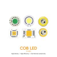 China 50W AC 220V-240V LED COB Chip with 120° Viewing Angle 50000 Working Hours and 2-Year Warranty for Outdoor Lighting for sale