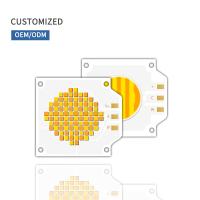 China Customized ODM OEM High Power Bi-color COB LED Chip 50W+50W 200W+200W for Film Light with 2700K-6000K Color Temperature for sale