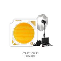 China 1919 COB LED Chip 9V-24V Input Voltage 15W-30W Power Range with 120° Viewing Angle for LED Spotlight & Car Light for sale