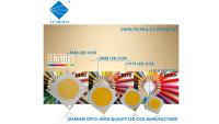 China High Power LED COB Chip with 5-300W Power Range 120° Viewing Angle and 9-36V Input Voltage for Indoor Outdoor Lighting for sale