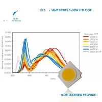 China High Power LED COB Chip with 5-300W Power Range 120° Viewing Angle and 9-36V Input Voltage for Indoor Outdoor Lighting for sale