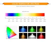China High Power LED COB Chip with 5-300W Power Range 120° Viewing Angle and 9-36V Input Voltage for Indoor Outdoor Lighting for sale