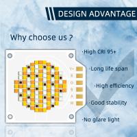 China High Quality RGBWW 3538 COB LED Chip with 2-Year Warranty 24-26V Input Voltage and 10000 Working Hours for LED Stage Light for sale