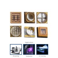 China 310nm UVB LED Chip with 2-Year Warranty and 10000 Working Hours for Reptile Breeding and Plant Growth for sale