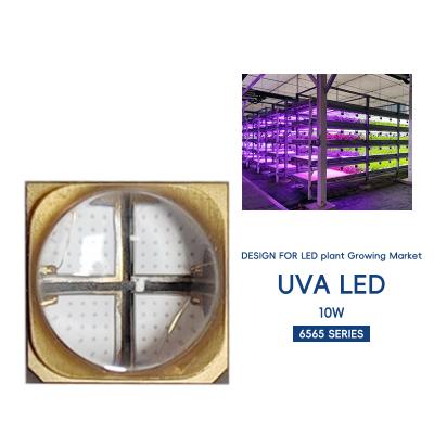 China 365nm 10W UV LED Chip UVA LED Module for 3D Printer Curing and Offset Printing for sale