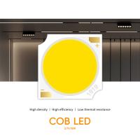 China 30W+30W BICOLOR 1919 COB LED CHIP DOWNLIGHTS INDOOR LIGHTS SPOTLIGHTS 36-38V DIMMABLE CCT Two Colors 2700-6500K for sale