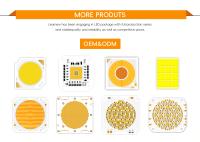 China 30W+30W BICOLOR 1919 COB LED CHIP DOWNLIGHTS INDOOR LIGHTS SPOTLIGHTS 36-38V DIMMABLE CCT Two Colors 2700-6500K for sale