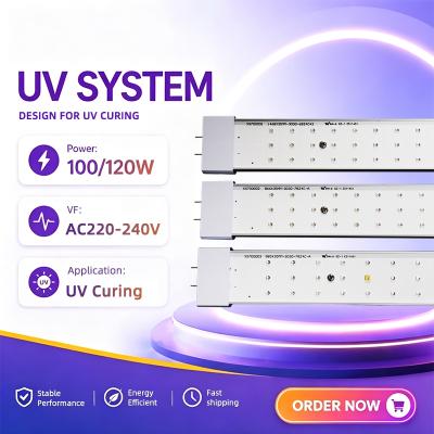 China 100W 120W Uv Tanning Tube 365Nm Uva 310Nm Uvb 10 1 Ratio 1.8M 2.0M Mercury Lamp Replacement CE TSGK Certified for sale