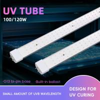 China 365Nm Uv Tube 310Nm Uvb Uva 10 to 1 Ratio Tanning Lamp Tube 100W 120W Mercury Replacement Tube Certified ISO9001 CE EMC LVD for sale