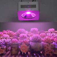 China 200W Full Spectrum COB LED Grow Light Multi Wavelength Aluminum for sale