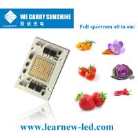 China Plant Growth 50W±2W Multi Wavelength 40*60mm AC 220V Grow Lamp LED COB Light for sale