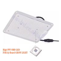 China 450nm 1W SMD LED Chips for sale