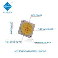 China High Cri 8000-10000K  led cob chips   30W fresh light Epistar chip for sale