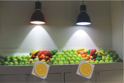 China 4800-5300K  30W Led Cob Chips  High Cri  Fresh Light Epistar Chip for sale