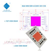 China AC 220V 50W 100W Cob Led Full Spectrum 380nm-780nm Grow Light Chip for sale