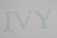 China Recycled PET Bottle Chips Blow Molding Material With Melt Temperature ≥245℃ for sale