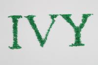 China Plastic PET Bottle Chips For Bottle Application In White Green Blue for sale