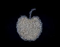 China Food Grade Recycled PET Pellets With Low Acetaldehyde Content Melt Temperature ≥245℃ for sale