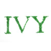 China IV0.75-1.1 Recycled PET Resin GRS Certified Customizable for sale