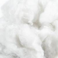 China Eco-Friendly Polyester Staple Fiber White Filling Material Staple Virgin Hollow Conjugated for sale