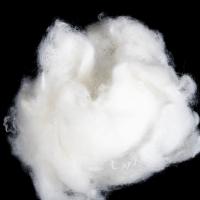 China Eco-Friendly Polyester Staple Fiber White Filling Material Staple Virgin Hollow Conjugated for sale