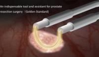 China Disposable Radio Frequency Plasma Probe Electrode for Urology TURP - 286mm Length, 6.6×1.6mm Size for sale