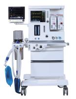China 10.4 Inch Touch Screen Veterinary Anesthesia Machine DM6A Real Time Detection 200kg for sale
