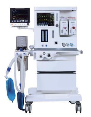 China 10.4 Inch Touch Screen Veterinary Anesthesia Machine DM6A Real Time Detection 200kg for sale