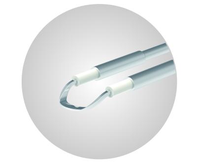 China Disposable RF Plasma Spade Electrode 5mm Gynecology Endometrial Polyp Fibroid Resection for sale