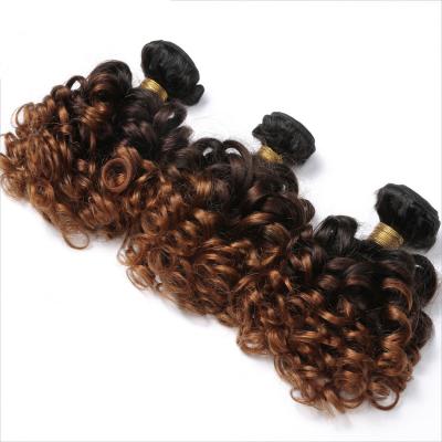 China 1B/4/27 3 Tone Ombre Malaysian Bouncy Curly Hair Bundles Remy Human Hair Extensions Wholesale Hair for sale