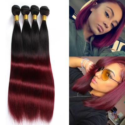 China Ombre Brazilian Straight Hair 1B/99J Two Tone Human Hair Bundles for sale