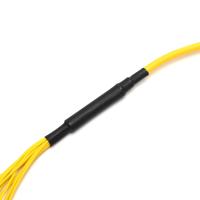China Single Mode SM 3 Meter Patch Cord Lc-Lc 12 Core  with High return loss for sale