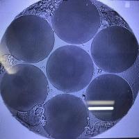China Multi Core Optical Fiber Scientific Research Products 6 hexagon arranged for sale