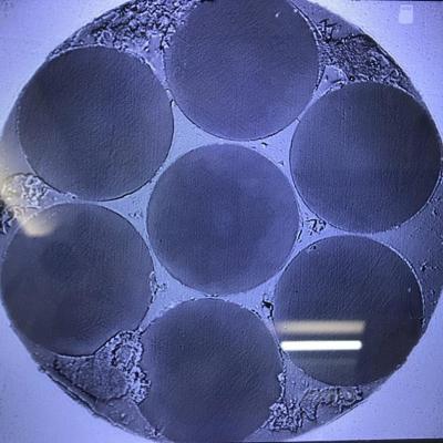 China Multi Core Optical Fiber Scientific Research Products 6 hexagon arranged for sale