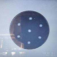 China Scientific Research Products Multi Core Optical Fiber Polishing for sale