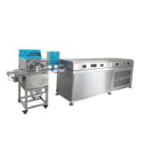 China PE8-PE60 Chocolate Enrobing Machine | 8-60kg Capacity | 220V Single Phase | Food Grade 304 Stainless Steel for sale