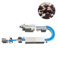 China P307 Chocolate Coated Fruit Energy Protein Bar Extruder Machine 40-60pcs per min for sale