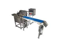 China PE15 Commercial Chocolate Enrober Machine 180mm Belt Width 220V for Mini Biscuits Cookies for sale