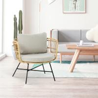 China Outdoor Fashion Wicker Furniture Chair Restaurant Metal PE Rattan Dining Chair with Cushion for sale