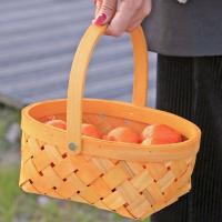 China Hot Sale Hand Weaved Small Storage Gift Basket Wood Chip Woven Picnic Basket with Handle for sale