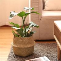 China Low Price Foldable Natural Rattan Plant Hand Woven Seagrass Storage Belly Baskets Straw Woven Wicker Storage Basket for Plants for sale